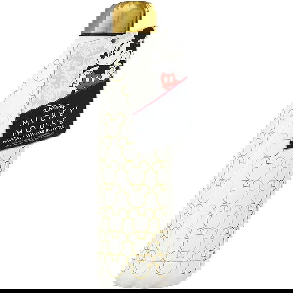 Disney Thermal Drinks Bottle funko Mickey Mouse – The Geek In Me